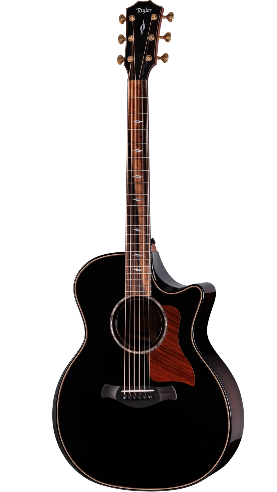 Taylor Builder's Edition 814ce Blacktop, Next Generation - Boullard Musique